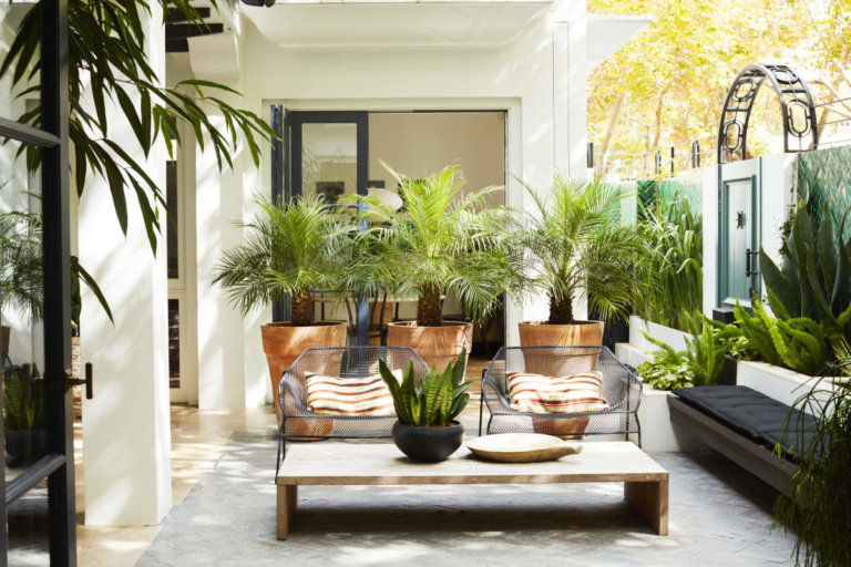 A green courtyard house