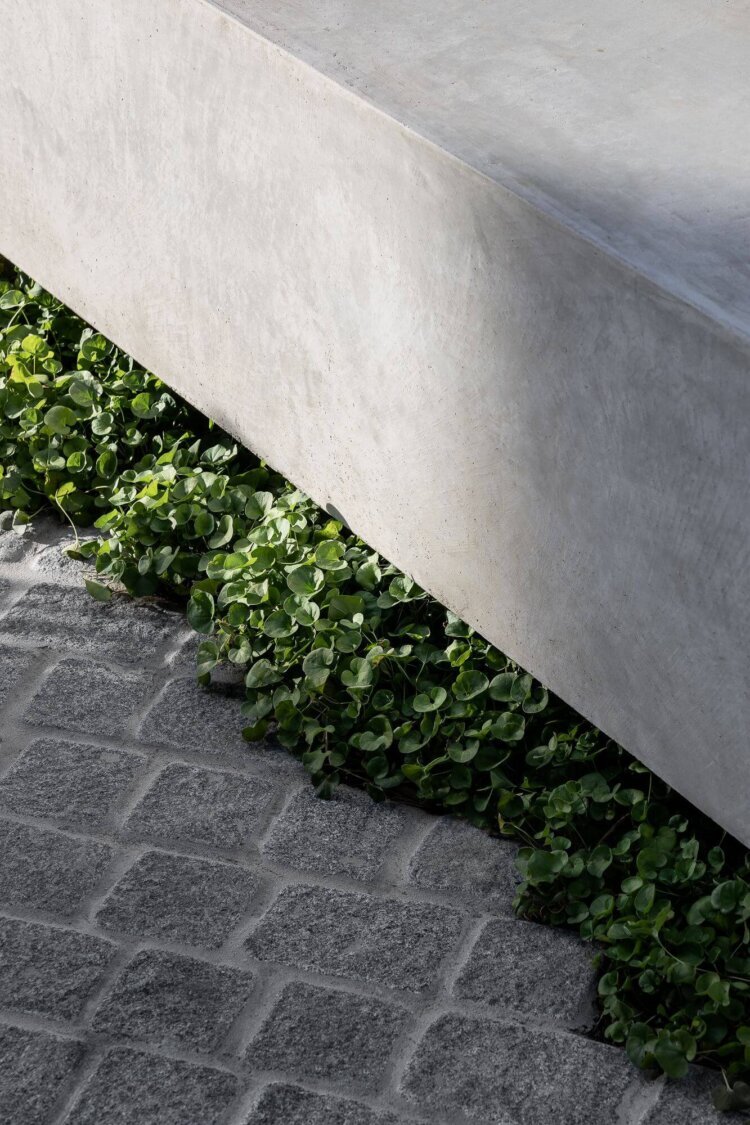 An inner-city garden of concrete and verdant green