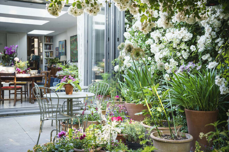 Jo Thompson garden & landscape design