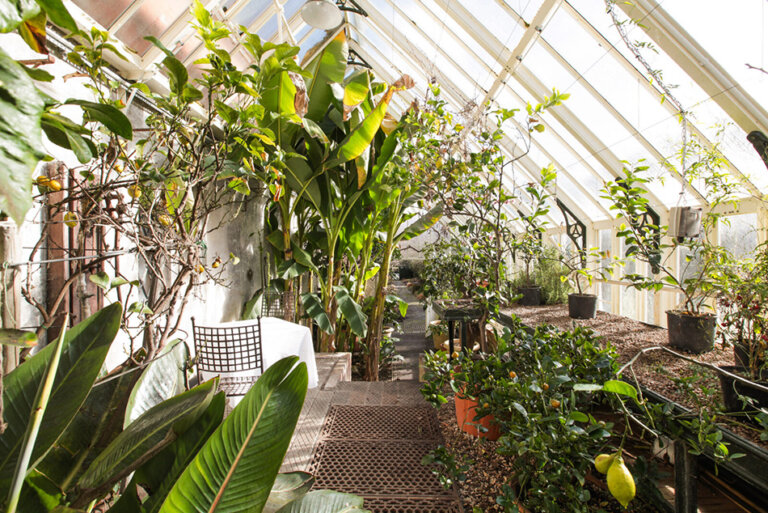 Woolland House in Dorset