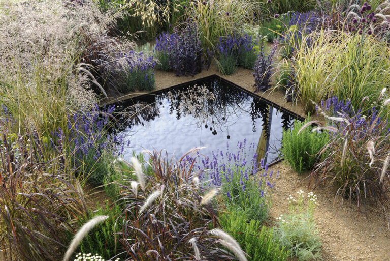 Gardens by Alexandra Noble