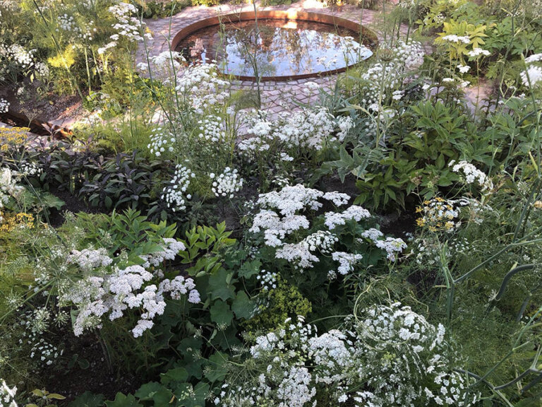 Gardens by Alexandra Noble