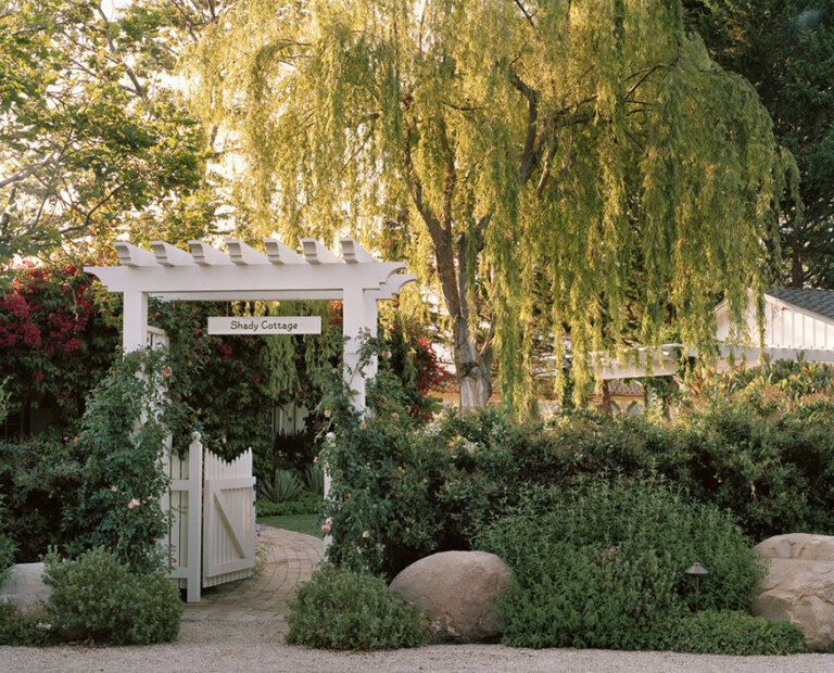 The gardens of Hilltop Farm