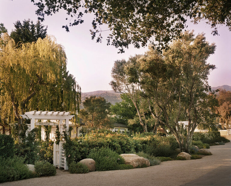 The gardens of Hilltop Farm