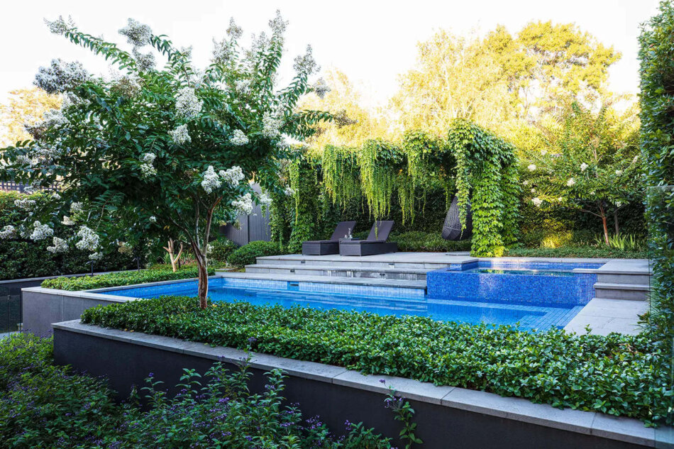 Swimming amongst the vines