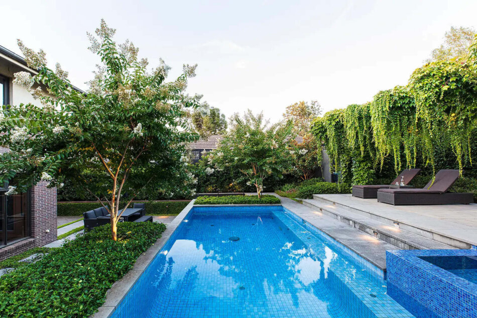 Swimming amongst the vines