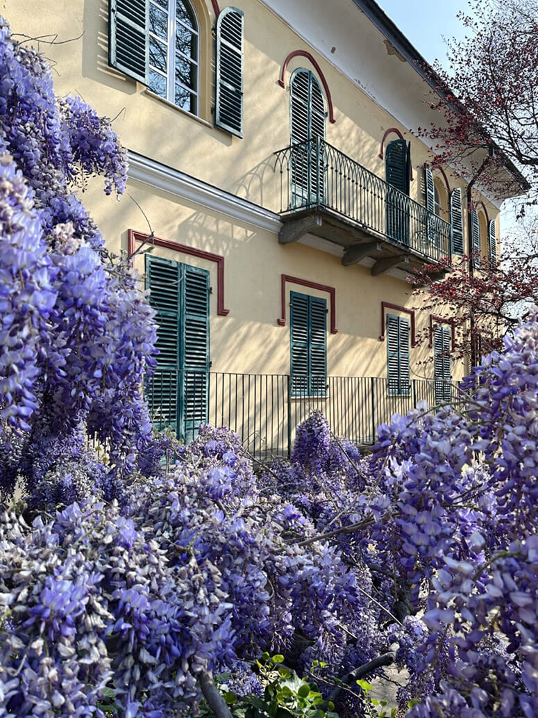 Mad about the house in Turin
