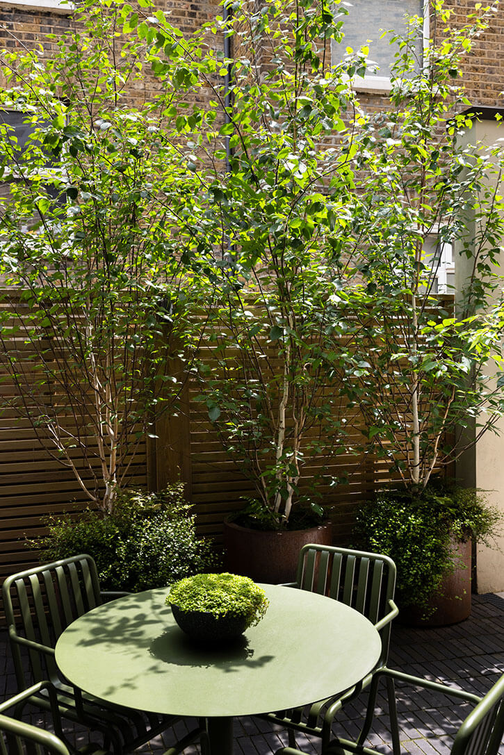 A London courtyard garden design